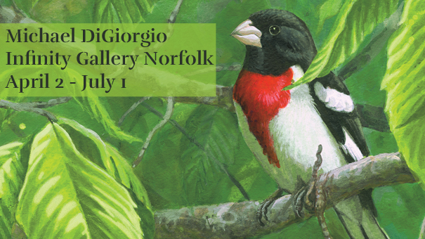 Michael DiGiorgio Artist Reception in the Infinity Bistro Gallery in ...